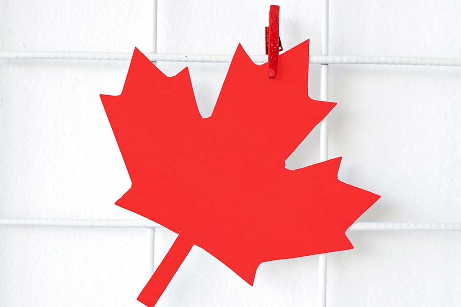 CV Canadien 2025: Modèle Word et PDF gratuit à télécharger